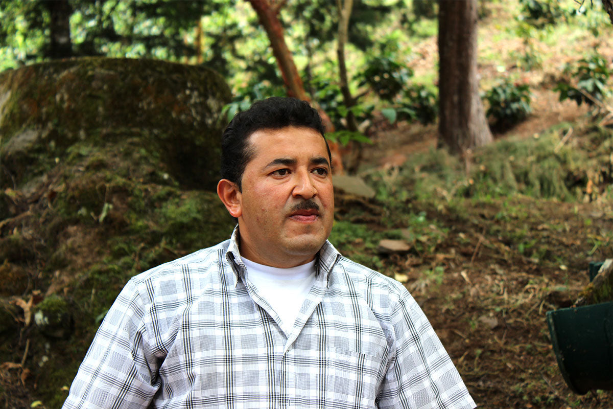 Edwin Burgos - Nicaragua | Wood St Coffee – Wood St Coffee Roasters